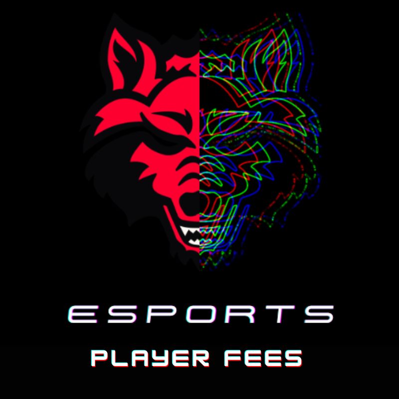 Player Fees