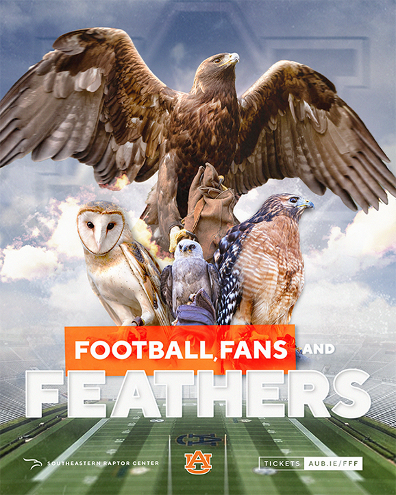 Hawk Wing Fans