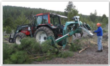 Harvesting and Selling Timber: A Field Guide for Woodland Owners (EM 9197)