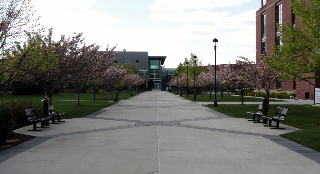 CMSD Graduate Confirmation Fee