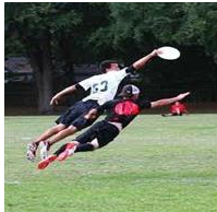 Men's Ultimate CU Fall Series