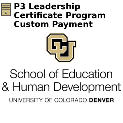 P3 Leadership Certificate Program Custom Payment