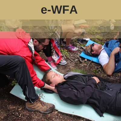 e-WFA® Certification