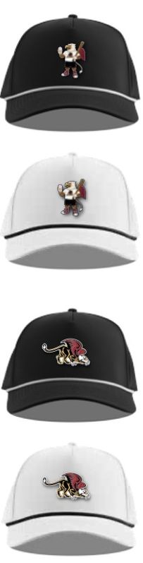 Gwynedd Baseball Hat Fundraiser
