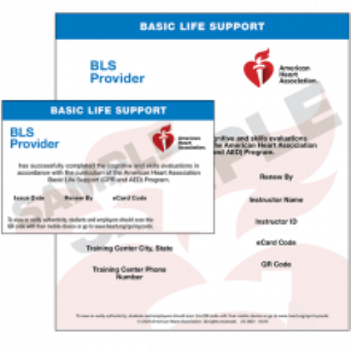 BLS Refresher - External