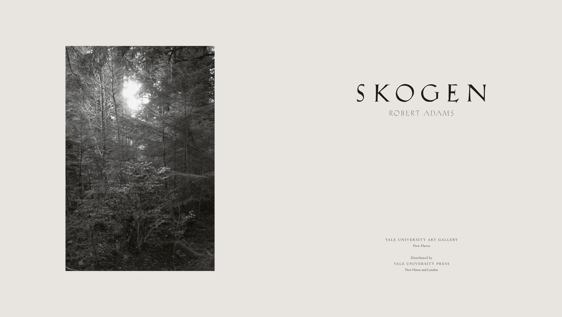 Yale Peabody Museum Education Program