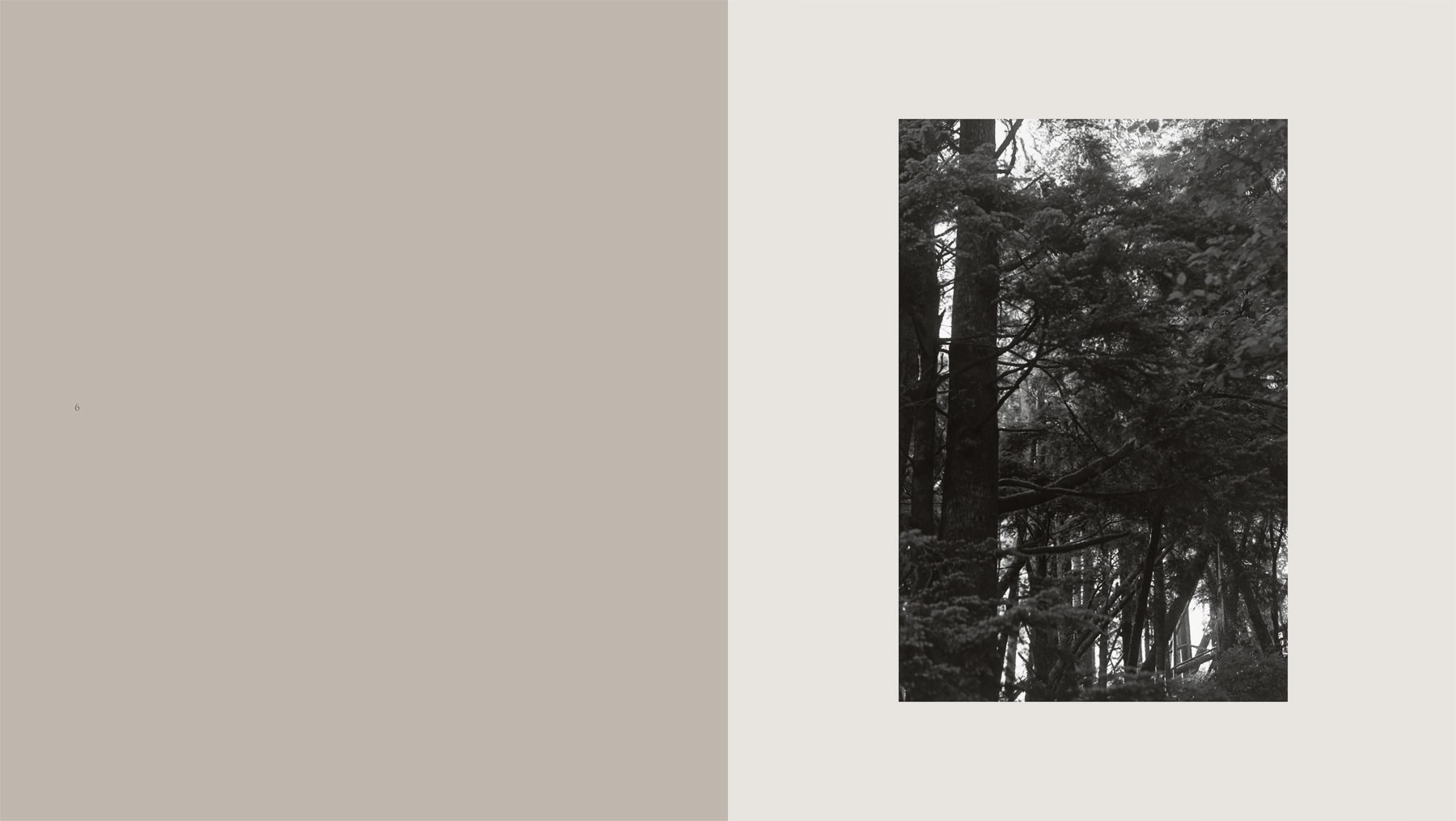 Yale Peabody Museum Education Program