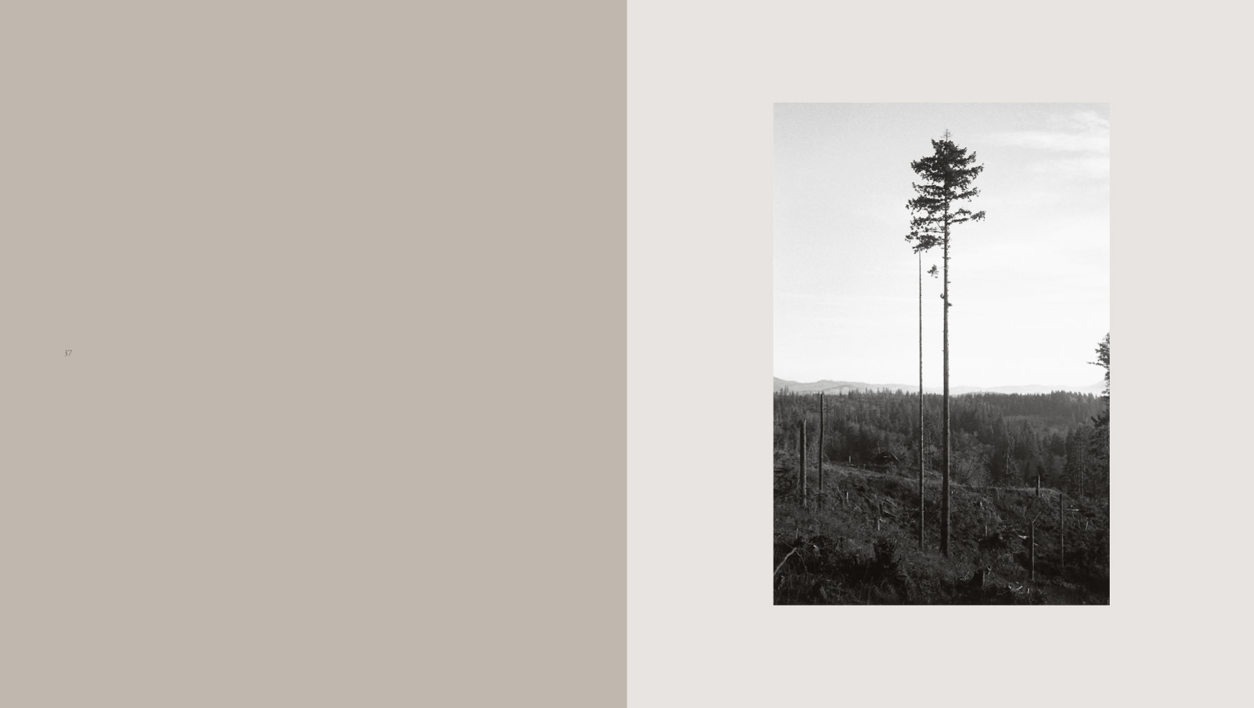 Yale Peabody Museum Education Program