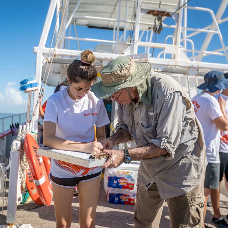 Beach Ecology Walk