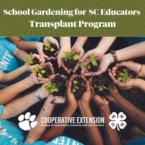 School Gardening for SC Educators 2023-24 School Garden Transplant Program