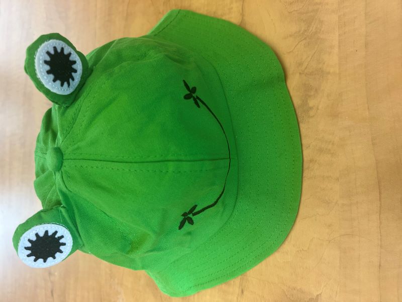 LEC Toad Hat