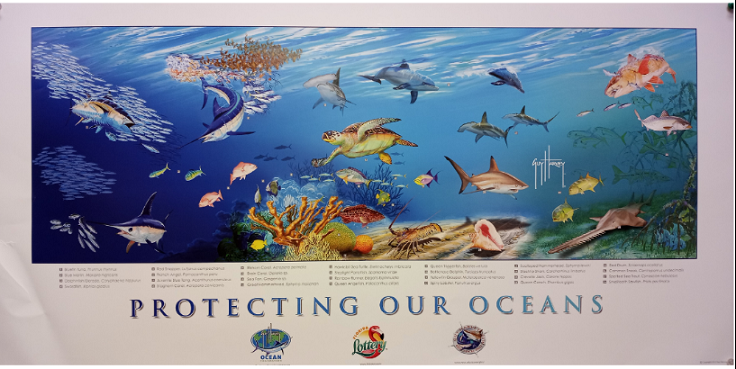 Guy Harvey Marine Life Poster