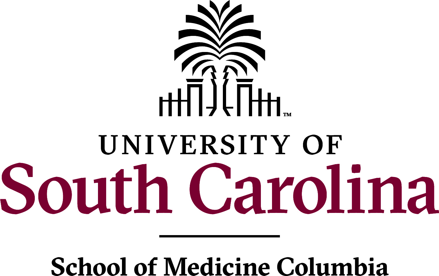 2025 USC SCHOOL OF MEDICINE VSLO PROGRAM