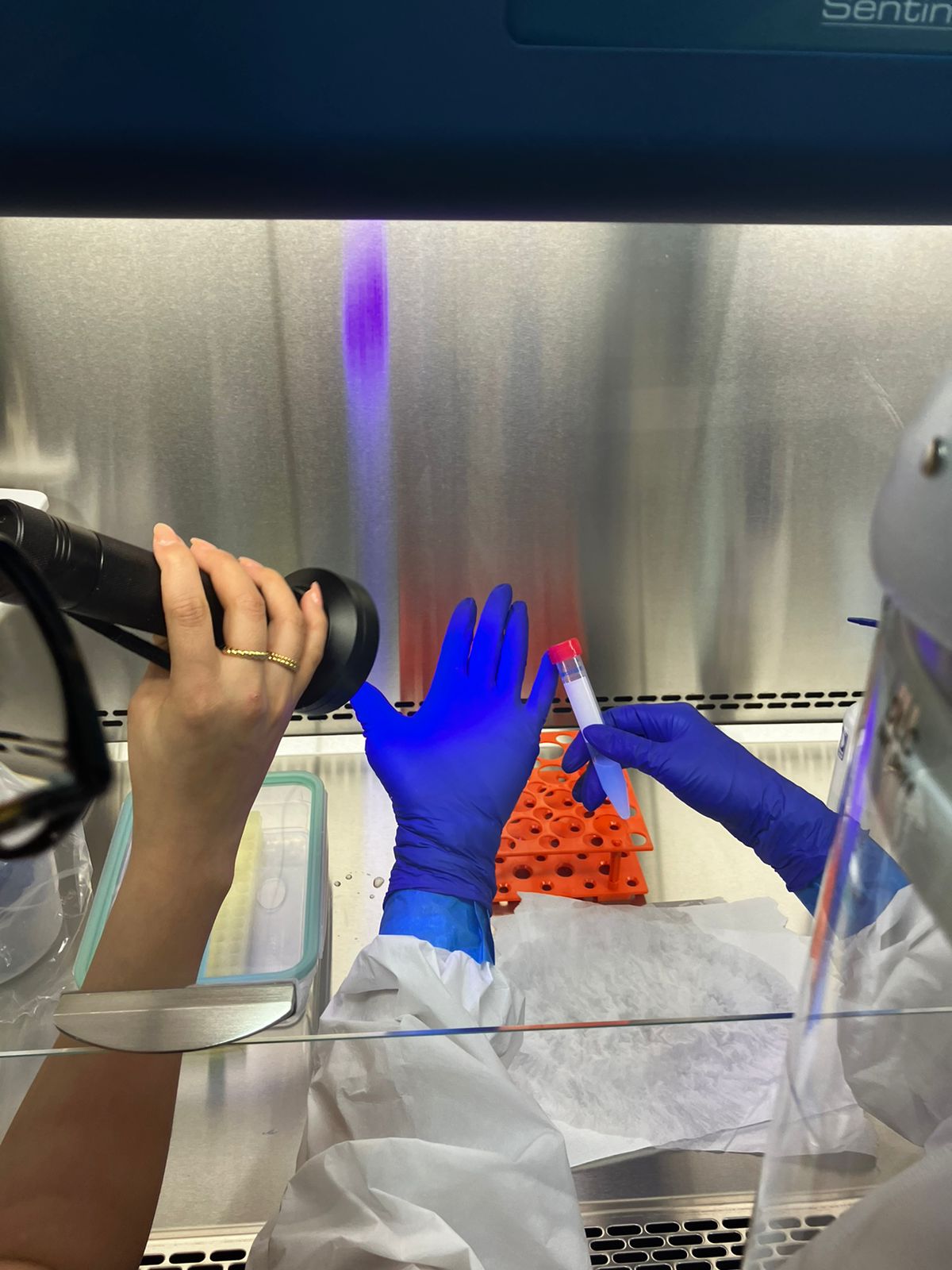 BSL-3 Laboratory Training: October 13-16,2025