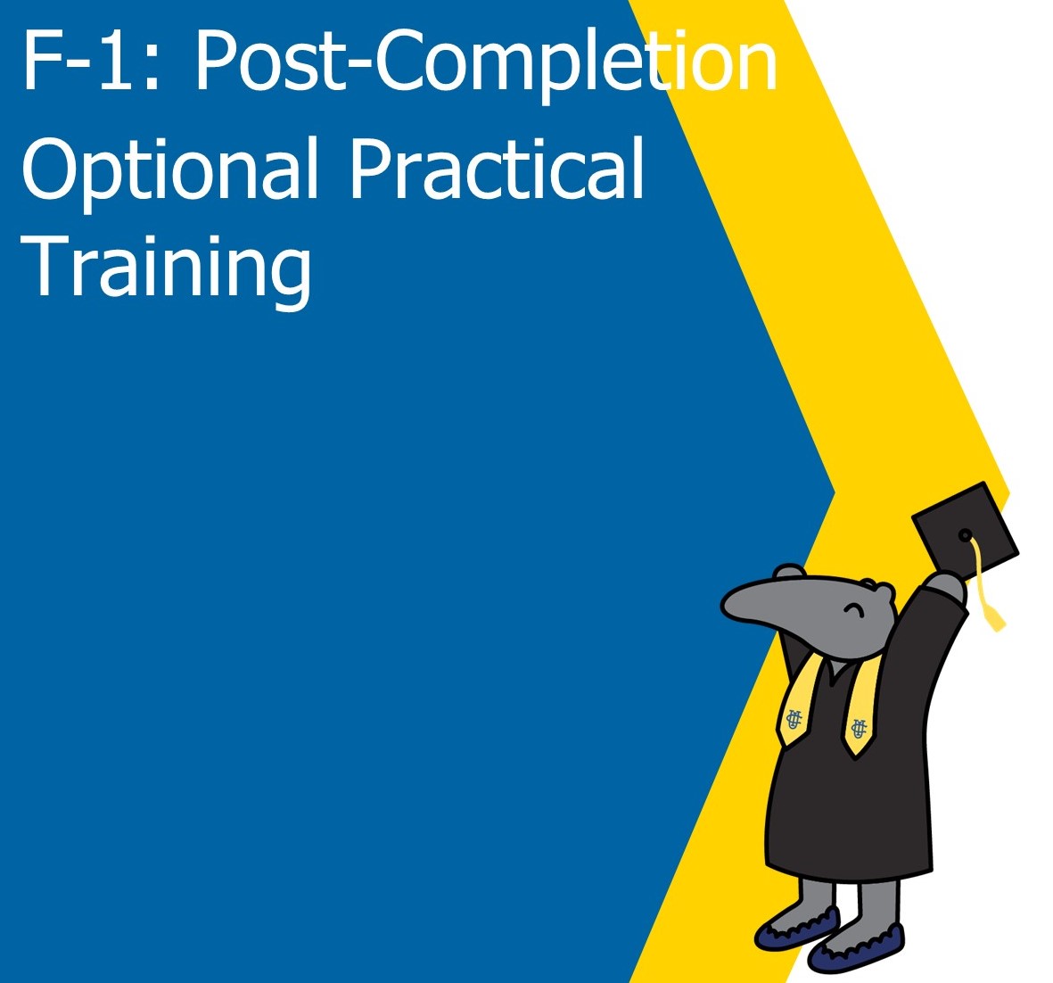 Post-Completion Optional Practical Training for F-1