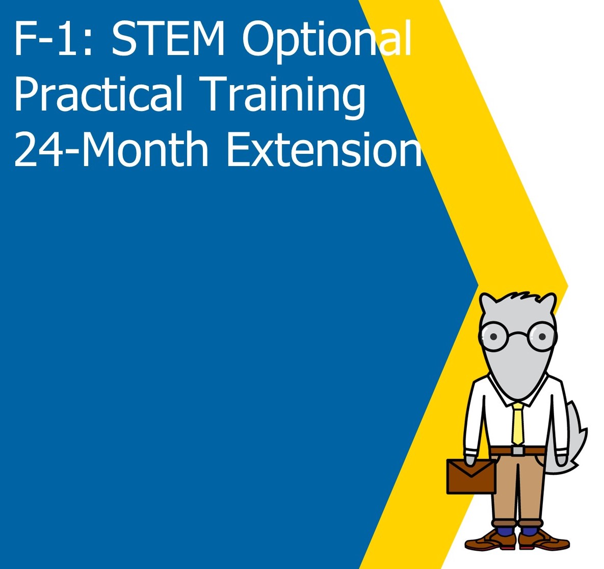 24-Month STEM Extension of Post-Completion Practical Training