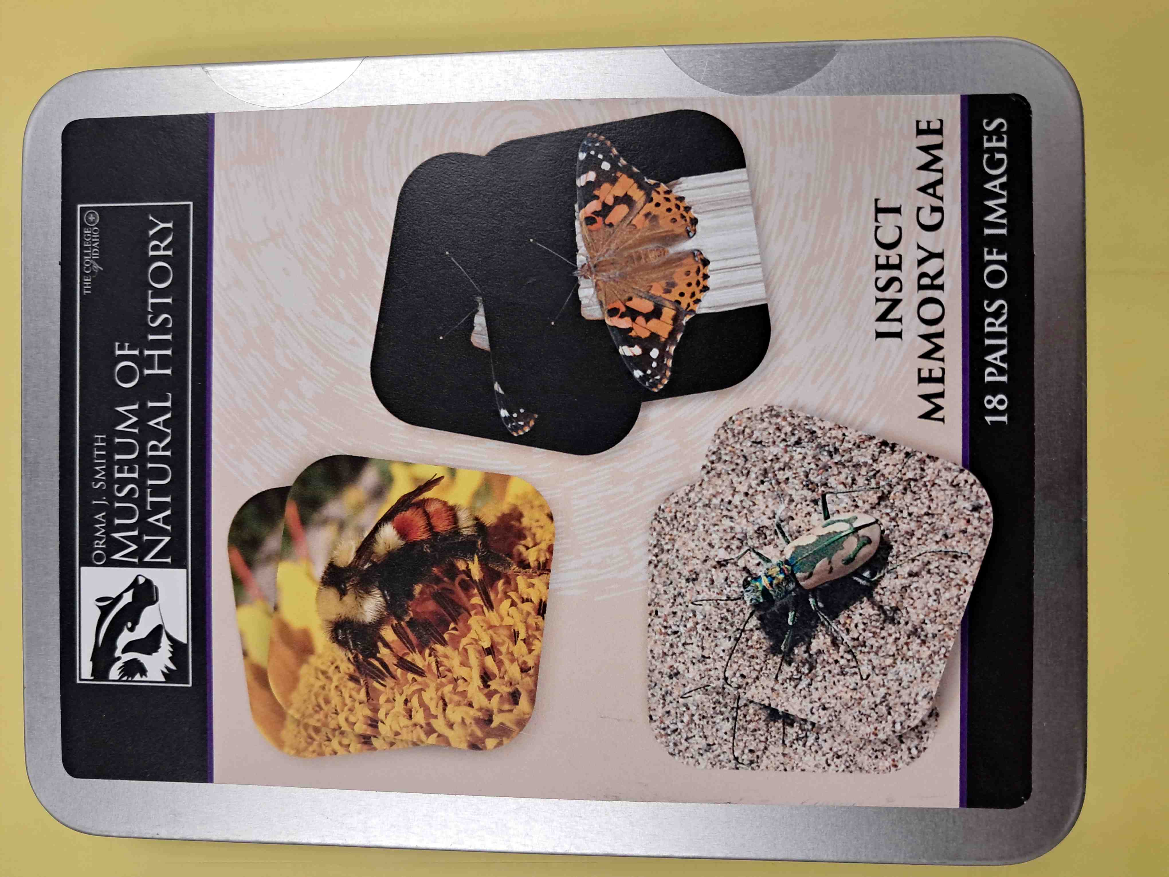 Insect Memory Game