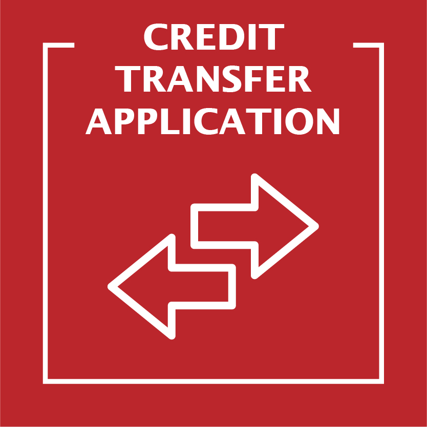 Credit Transfer Application Payment